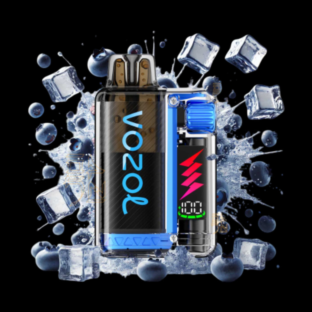 VOZOL VISTA PLUG 10000 Blueberry Ice – SnusDays